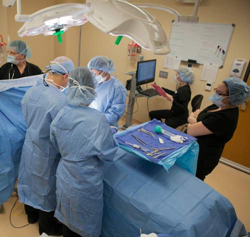 Essure Reversal Surgery to Reverse Essure Procedure | A Personal Choice