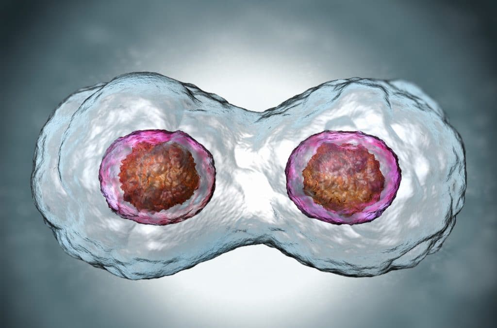Tubal Reversal And Miscarriage: Is There A Connection?
