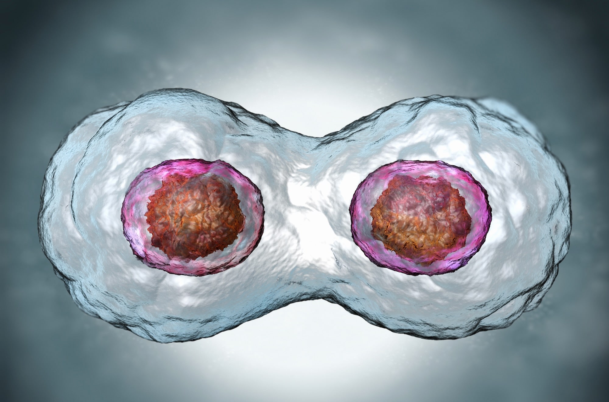 Tubal Reversal And Miscarriage Is There A Connection 0814