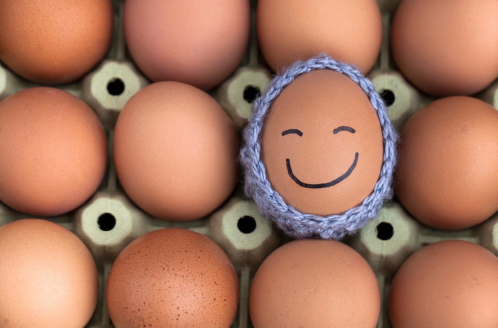 Pregnancy and FSH Levels: Understanding A Crappy Fertility Test!