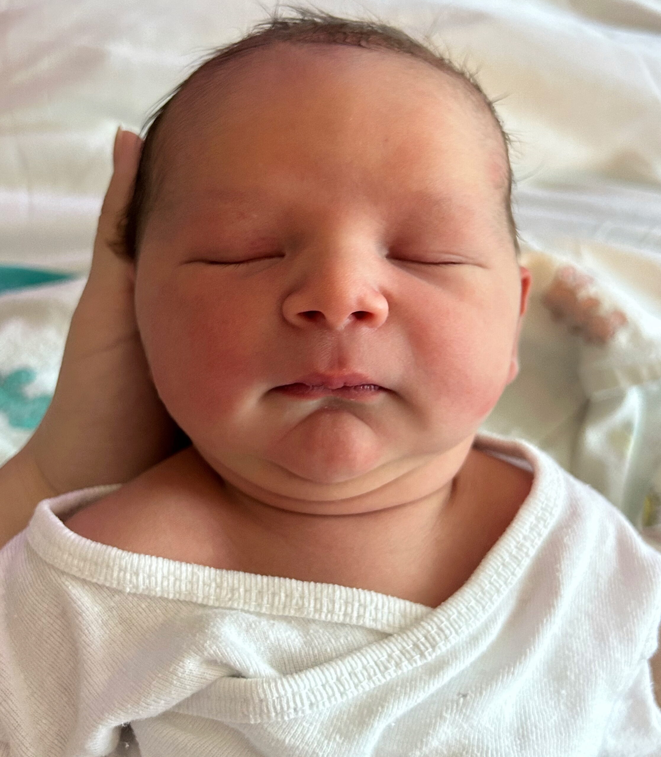 Tubal Reversal Testimonials | Pregnancy After Reversal | IVF Success ...